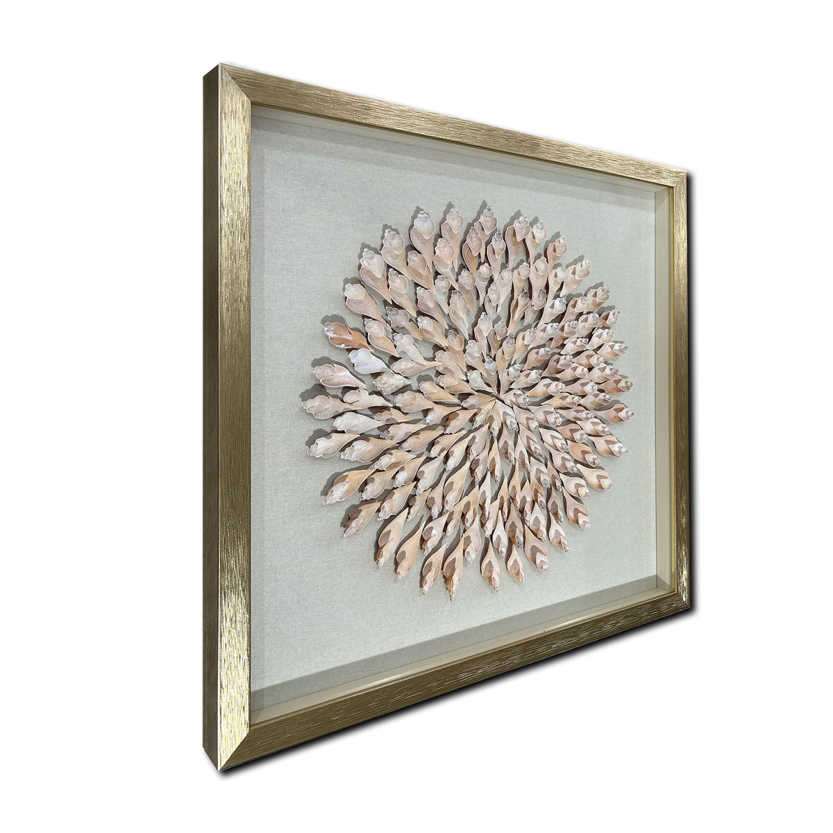 The Sea shell Symphony Shadow Box for Wall Decoration | Dekor Company