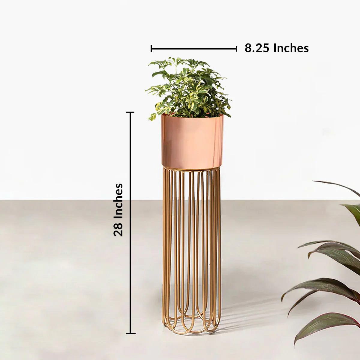 Buy Artisan Arboretum Planters - Small - Rose Gold | Dekor Company