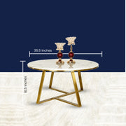 Buy Designer Coffee Tables Online in India | Dekor Company