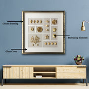 Buy Shadow Box Online for Wall Decoration | Dekor Company